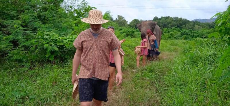 From Phuket: Ethical Elephant Interactive Trek and Tour - Final Thoughts