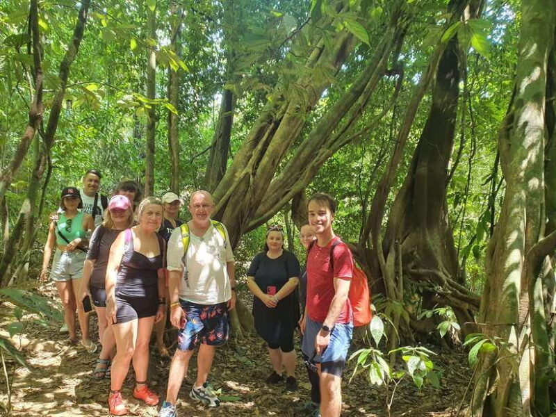 From Phuket : Explore Cheow Lan Lake Khao Sok : All Included - Lunch at "PHU TAWAN" Floating Restaurant