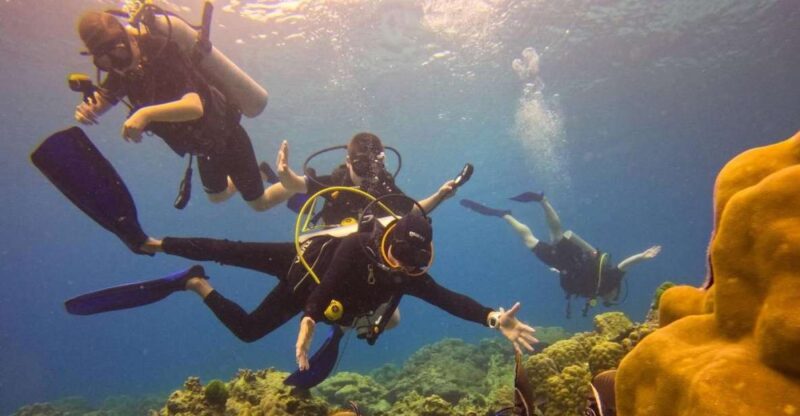 From Phuket: Full-Day Similan Island Scuba Diving Day Trip - Who Should Consider This Tour?
