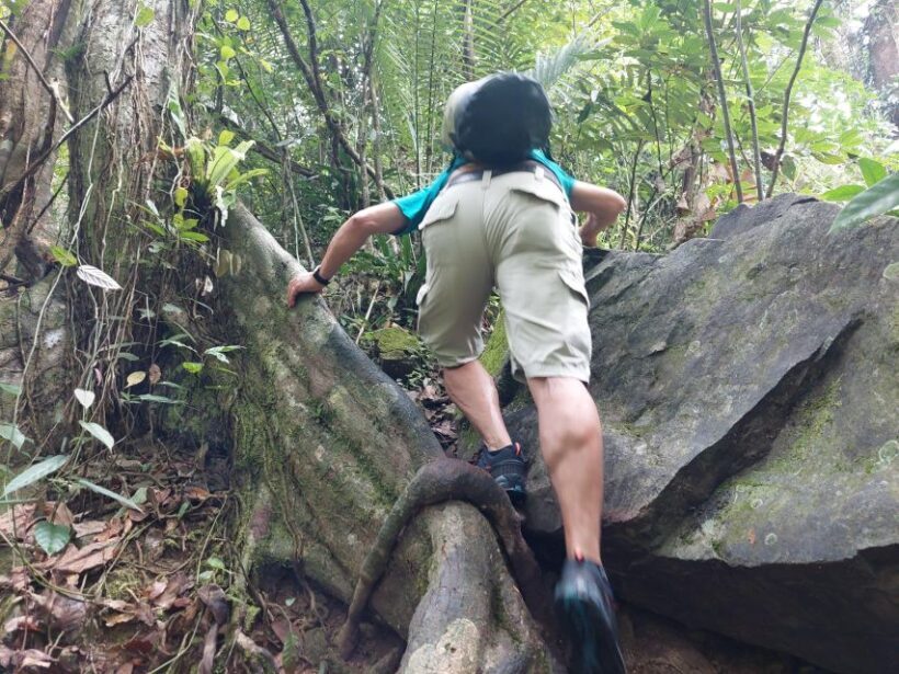 From Phuket: Guided Rainforest Hike with Lunch - The Experience in Detail