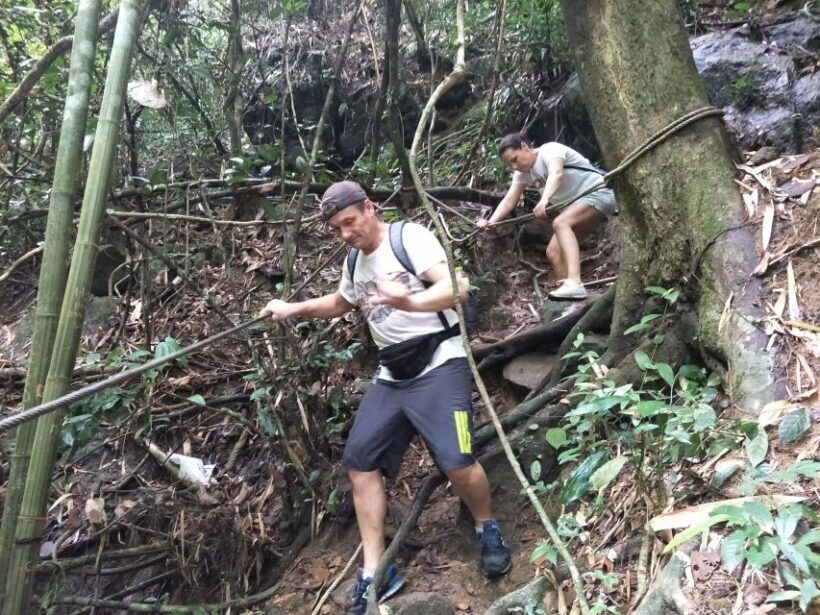 From Phuket: Guided Rainforest Hike with Lunch - Authenticity and Practicality: What You Need to Know