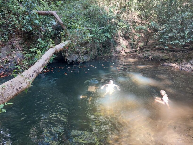 From Phuket: Guided Rainforest Hike with Lunch - What the Reviews Tell Us
