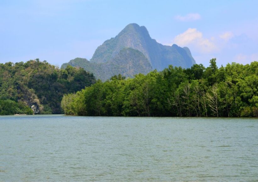 From Phuket : James Bond Island Tour with Cave Canoeing - Food and Comfort
