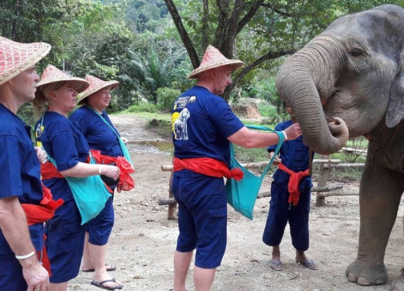 From Phuket & Khao Lak: Elephant Care with Waterfall Visit - A Detailed Look at the Experience