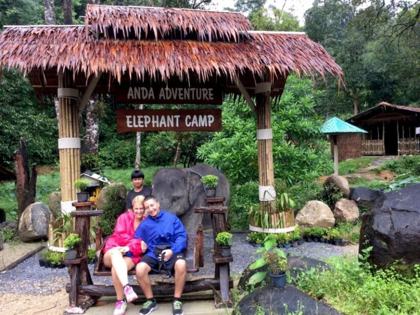 From Phuket & Khao Lak: Elephant Care with Waterfall Visit - Practical Tips for Travelers