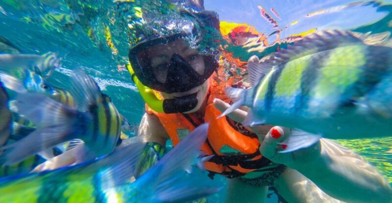 From Phuket: Phi Phi and Maya Bay Snorkeling by Speedboat - Who This Tour Is Best For