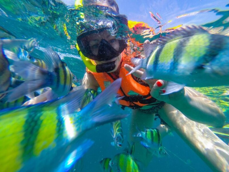 From Phuket: Phi Phi and Maya Bay Snorkeling by Speedboat - FAQ