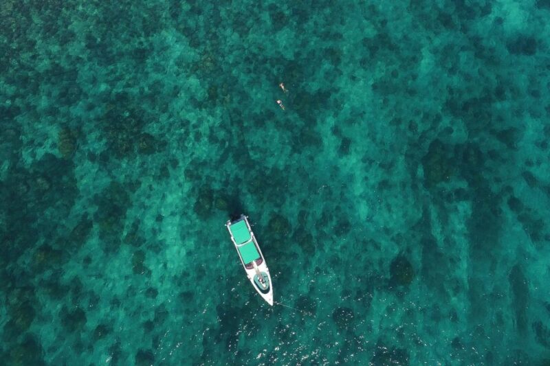 From Phuket: Phi Phi Island Private Full-Day Speedboat Trip - The Comfort and Practicalities