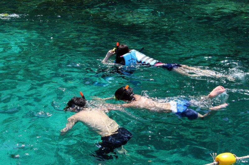 From Phuket: Phi Phi Island Private Full-Day Speedboat Trip - FAQ