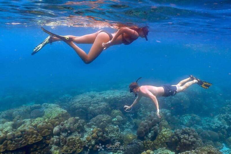 From Phuket: Surin Islands Snorkeling Trip - Real Travelers’ Perspectives