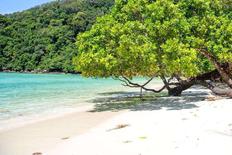 From Phuket: Surin Islands Snorkeling Trip - Final thoughts: Who is this tour best suited for?