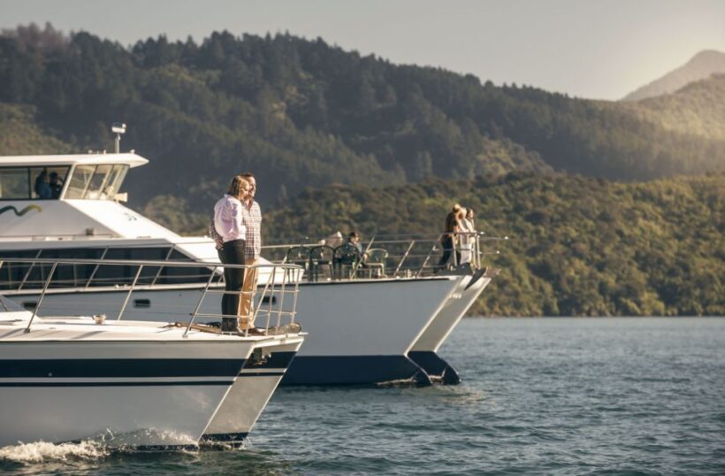 From Picton: Marlborough Sounds Cruise with Seafood - An In-Depth Look at the Marlborough Sounds Cruise