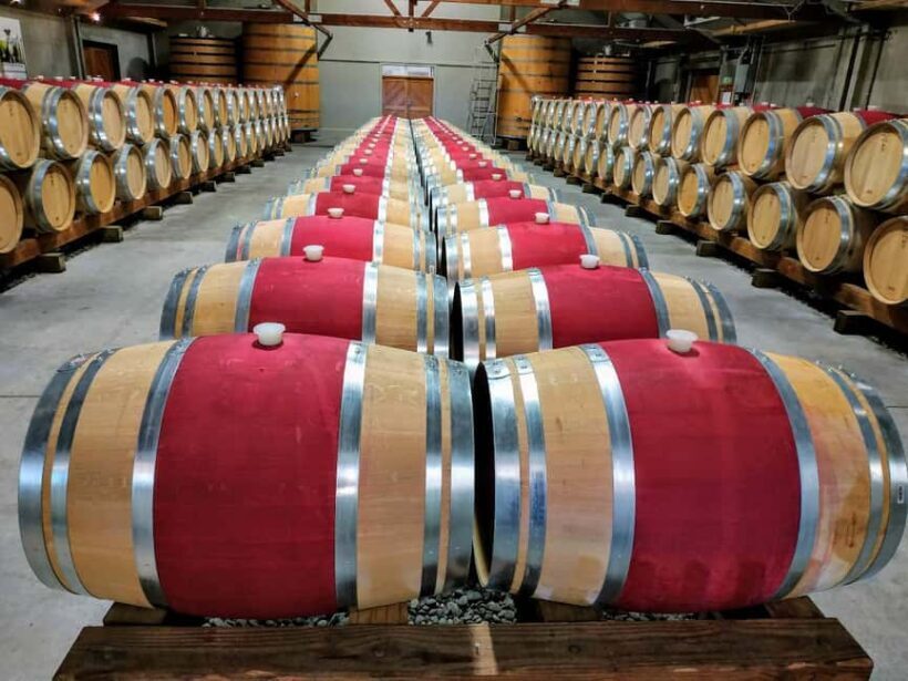 From Picton: Marlborough Wine Shore Excursion - Key Points