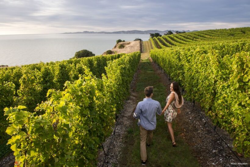 From Picton: Marlborough Wine Trip Shore Excursion - Frequently Asked Questions