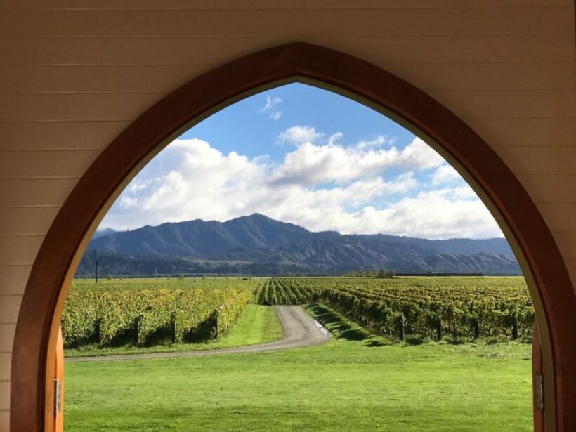 From Picton: Private Wine and Gourmet Tour of Marlborough - Who Will Love This Tour?