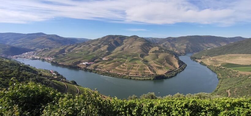 From Pinhão: Douro Valley Tour w/ Wine Tasting and Boat Trip - An In-Depth Look at the Douro Valley Tour