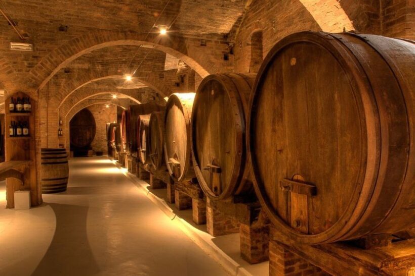 From Pisa or Lucca: Half-Day Tuscany Chianti Wine Tasting - Discovering Tuscany’s Charm in Just a Few Hours