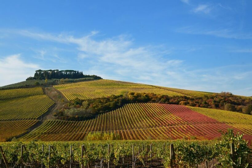 From Pisa or Lucca: Half-Day Tuscany Chianti Wine Tasting - FAQ
