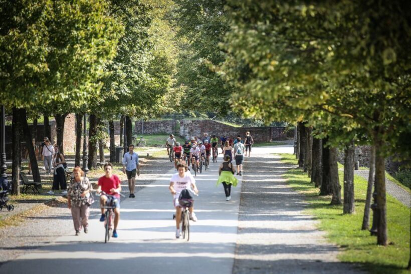 From Pisa to Lucca along Puccini cycling path - Pricing and Value