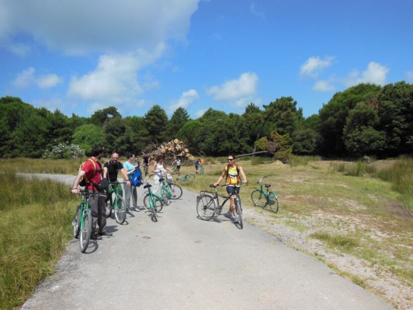 From Pisa to Lucca along Puccini cycling path - Why Travelers Love This Tour