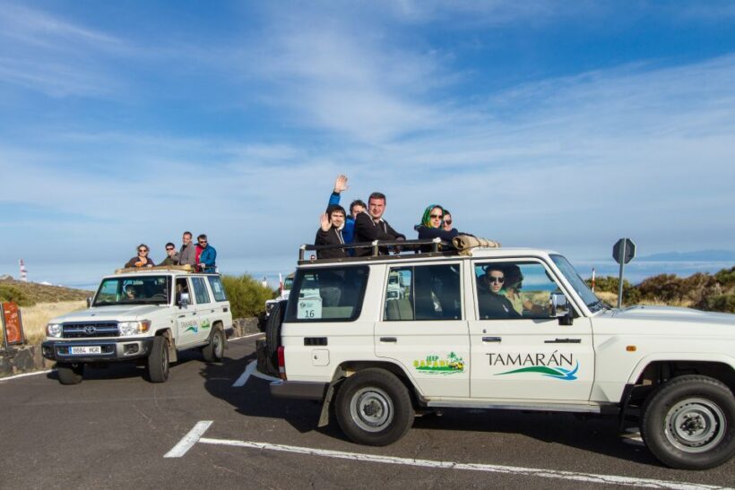 From Playa de las América: Half-Day Jeep Safari Tour - Practical Tips for Travelers
