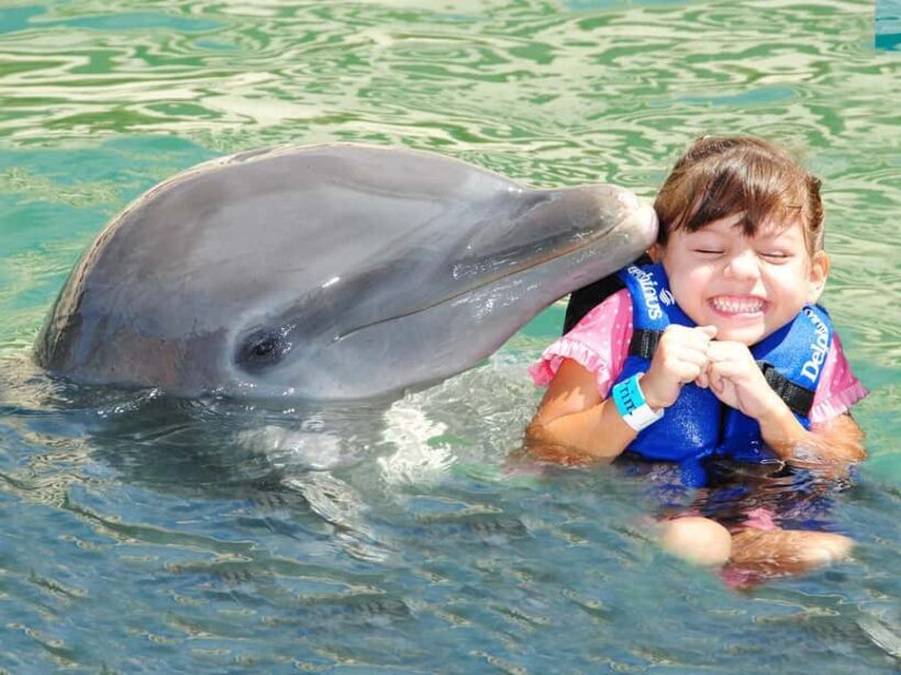 From Playa del Carmen: Complete Combo to Xcaret Park! - An In-Depth Look at What This Tour Offers