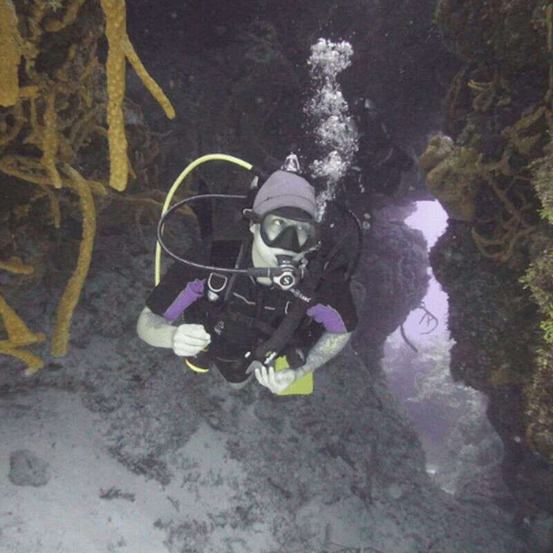 From Playa del Carmen: Cozumel Diving Adventure - Key Points