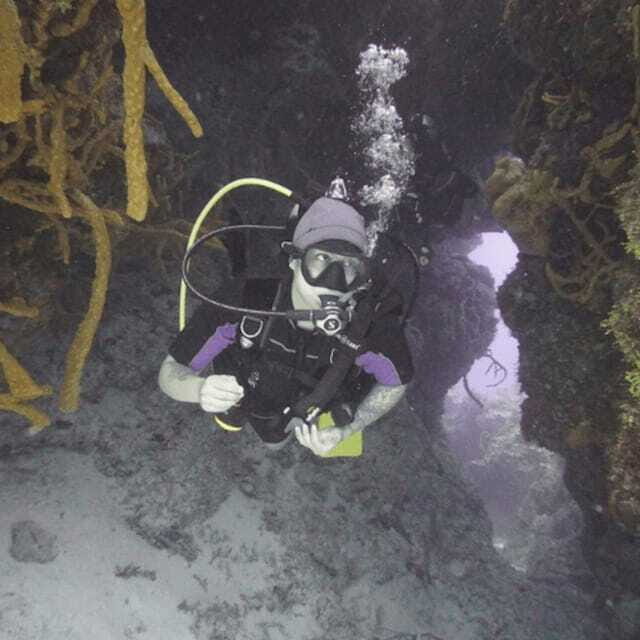 From Playa del Carmen: Cozumel Diving Adventure - FAQs