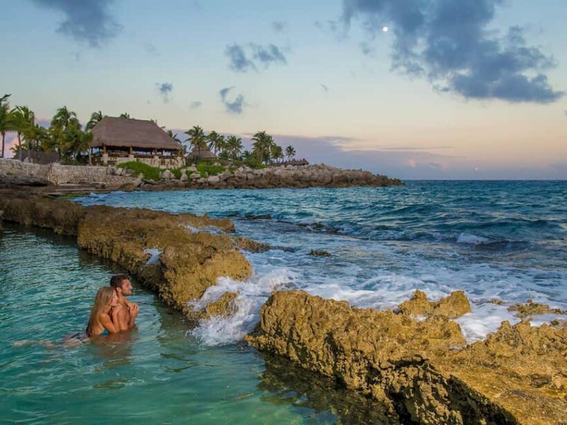 From Playa del Carmen: Xcaret Plus Park, the complete experience - Booking and Pricing