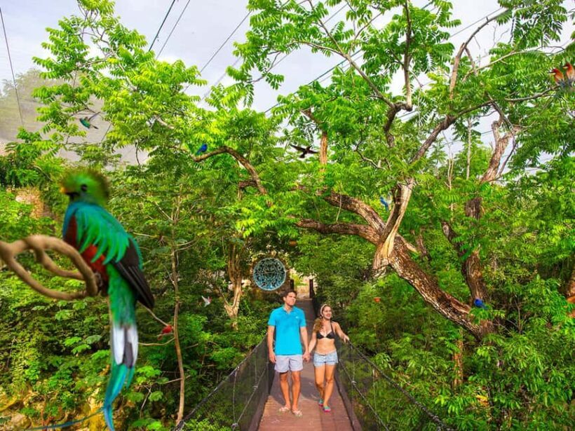 From Playa del Carmen: Xcaret Plus Park, the complete experience - Facilities and Comfort