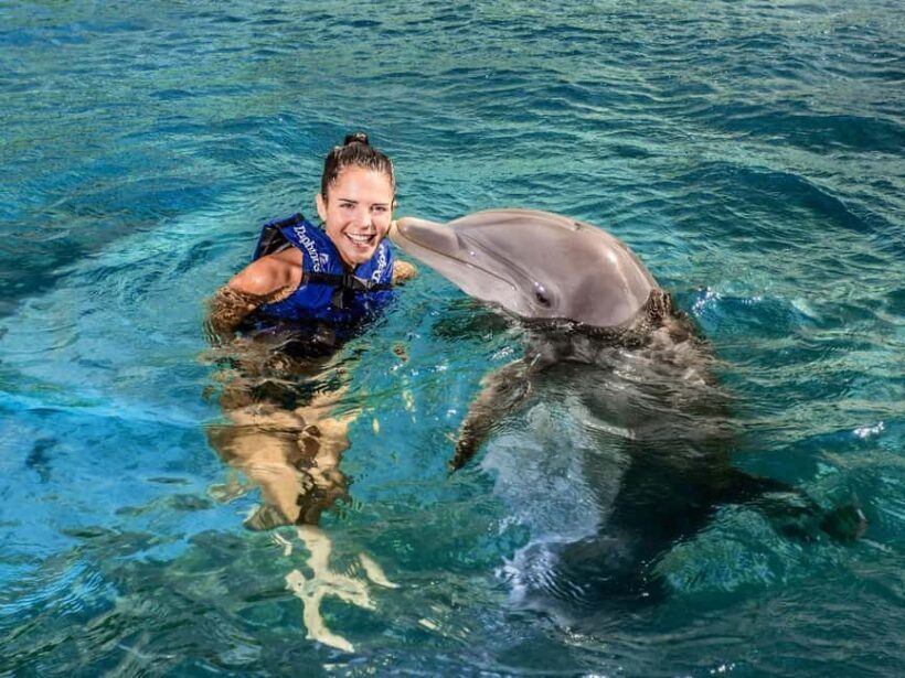 From Playa del Carmen: Xcaret Plus Park, the complete experience - The Overall Experience