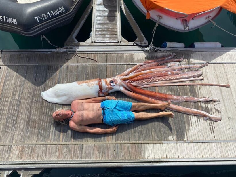 From Playa San Juan: Whale Watching, Gigantes, and Masca Bay - Who This Tour Suits Best