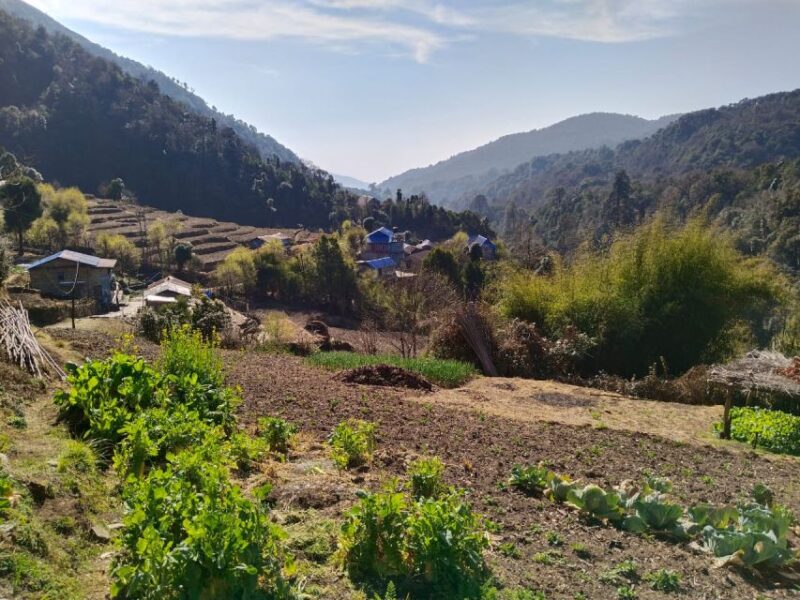 From Pokhara: 10-Day Poon Hill and Annapurna Base Camp Trek - Practical Tips and Considerations