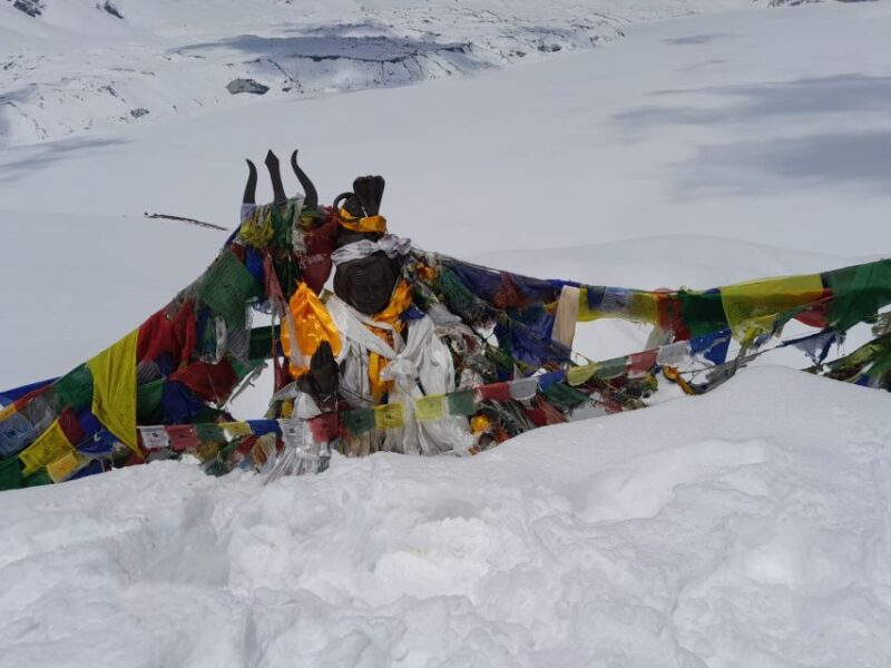 From Pokhara: 10-Day Poon Hill and Annapurna Base Camp Trek - The Sum Up