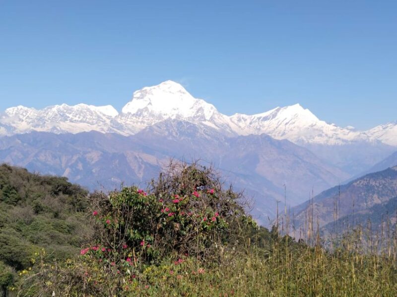 From Pokhara: 10-Day Poon Hill and Annapurna Base Camp Trek - FAQ