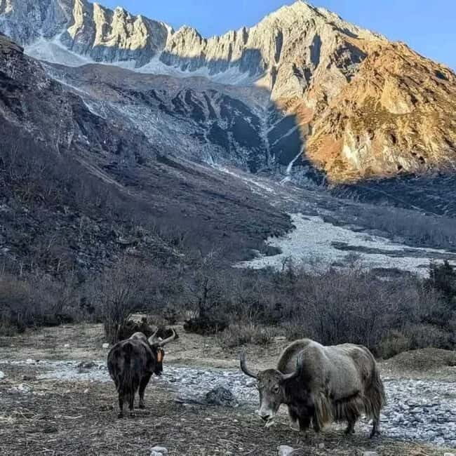 From Pokhara: 13-Day Manaslu Circuit Trek Feel the Thrill - The Sum Up
