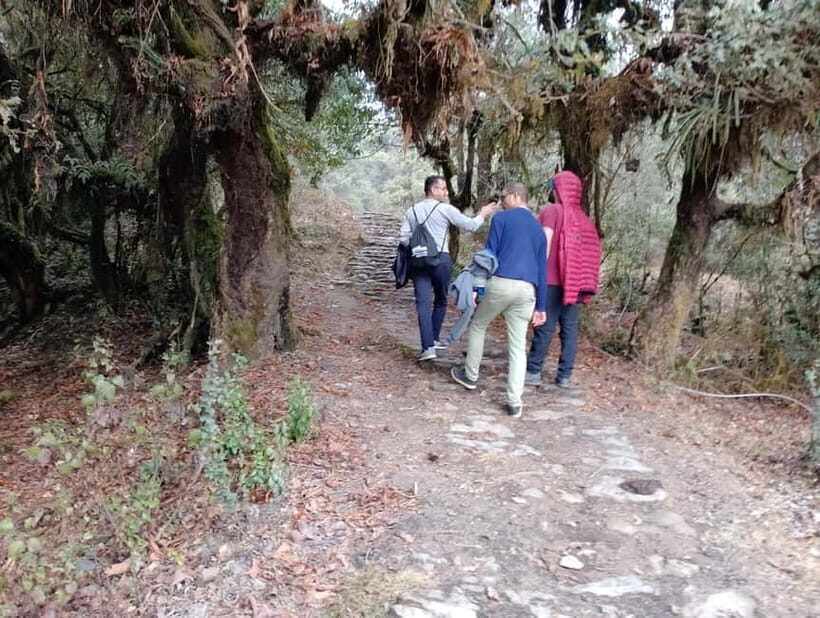 From Pokhara: 2-day Panchase Hill Hiking Tour & Return Drive - The Descent and Return to Pokhara