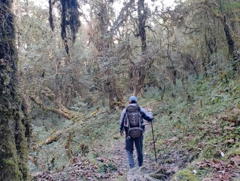From Pokhara: 2-day Panchase Hill Hiking Tour & Return Drive - Final Word