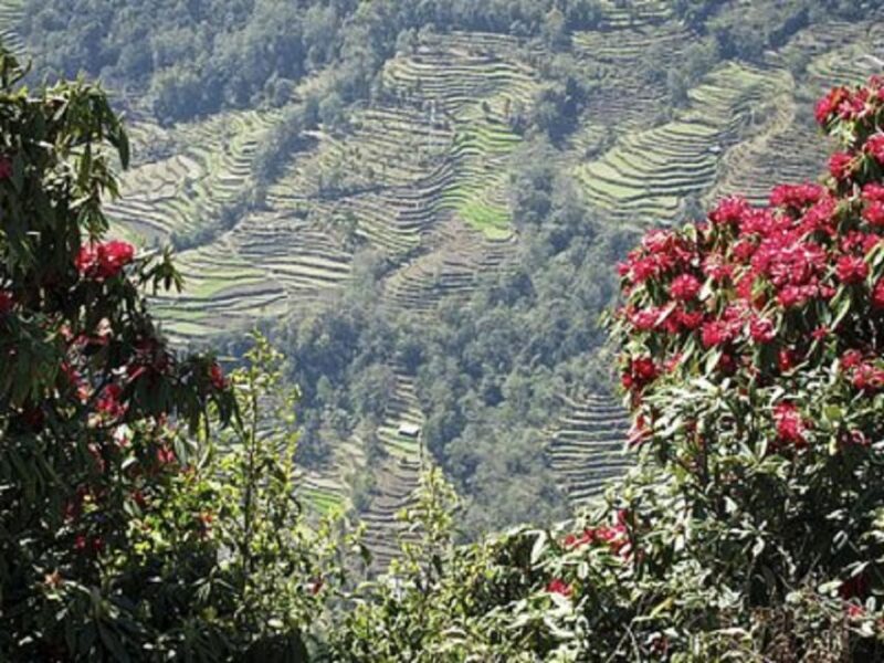 From Pokhara: 2-Day Scenic Australian Camp Trek - Key Points