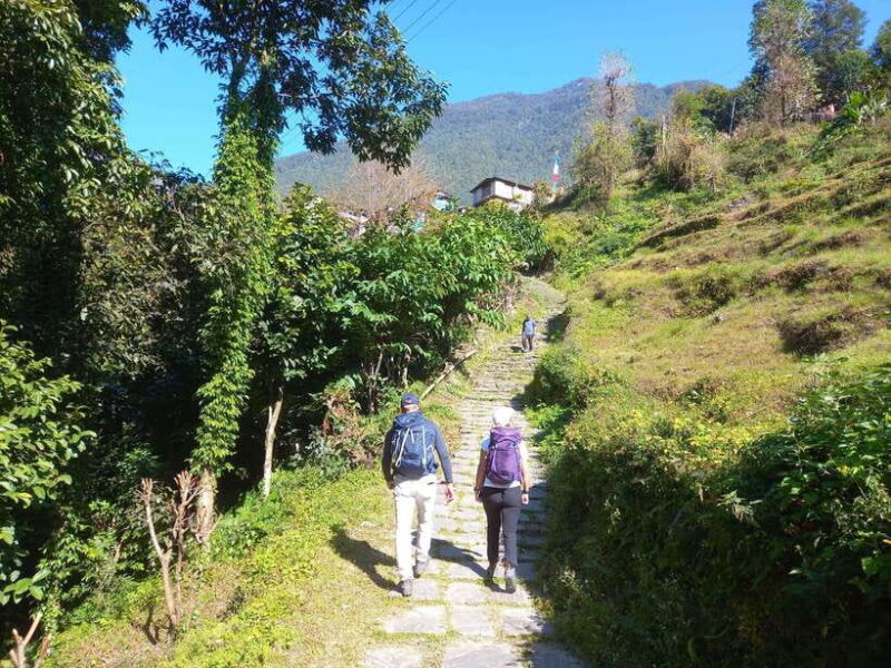 From Pokhara: 2-Days Poonhill Trek with Sunrise View - Practical Details and Value