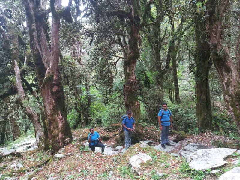 From Pokhara: 2-Days Poonhill Trek with Sunrise View - Final Thoughts: Is this Trek for You?