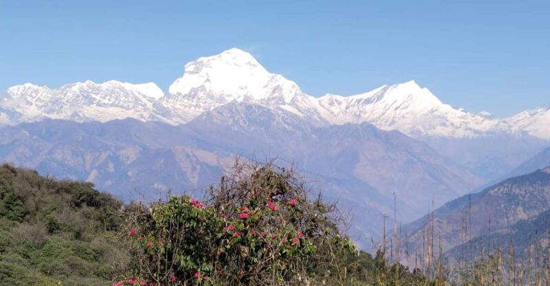 From Pokhara: 4-Day Annapurna and Poon Hill Himalayan Trek - What’s Included and What’s Not