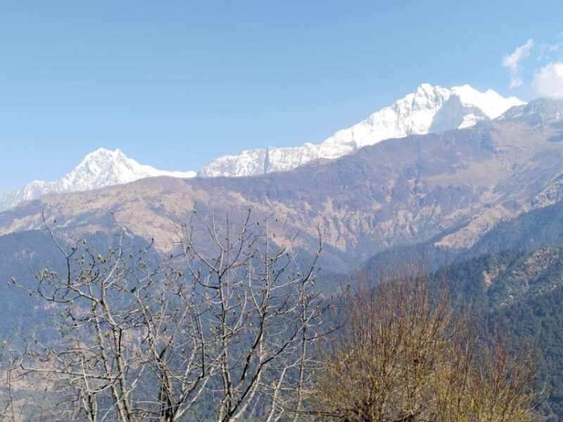From Pokhara: 4-Day Annapurna and Poon Hill Himalayan Trek - Who Should Consider This Tour?