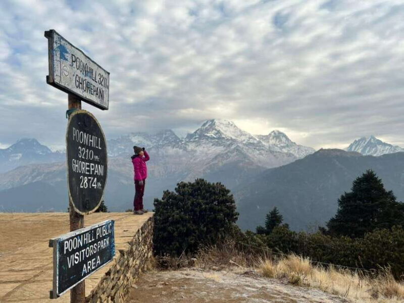 From Pokhara: 4-Day Ghorepani Poon Hill Trek with Guide - The Second Day: Ulleri to Ghorepani