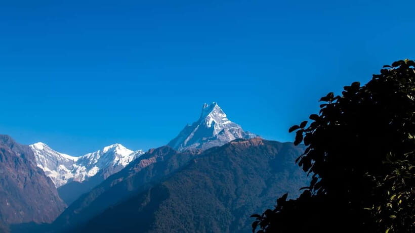 From Pokhara: 4-Day Mardi Himal Base Camp Trek - The Sum Up: Is It Worth It?