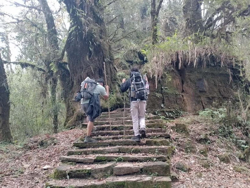 From Pokhara: 4-Day Mardi Himal Base Camp Trek - Why This Trek Stands Out