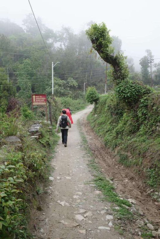from Pokhara: 4-Day Mardi Himal Trek with Guide - Who Will Love It?