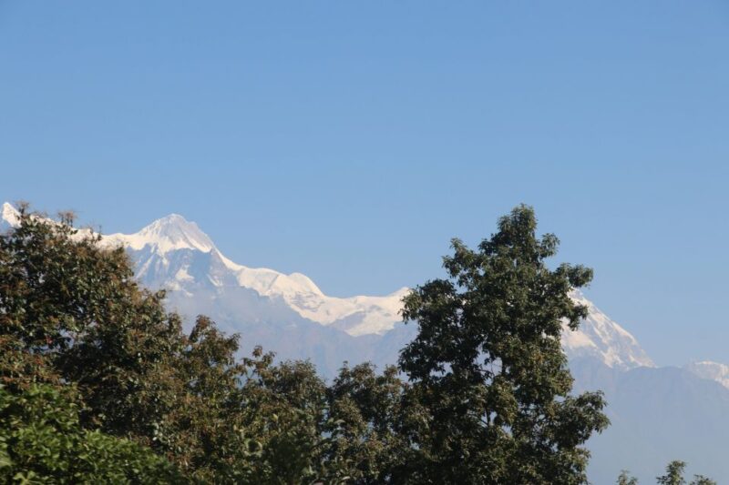From Pokhara: 5-Day Annapurna Base Camp Trek - Transport, Accommodation, and Value