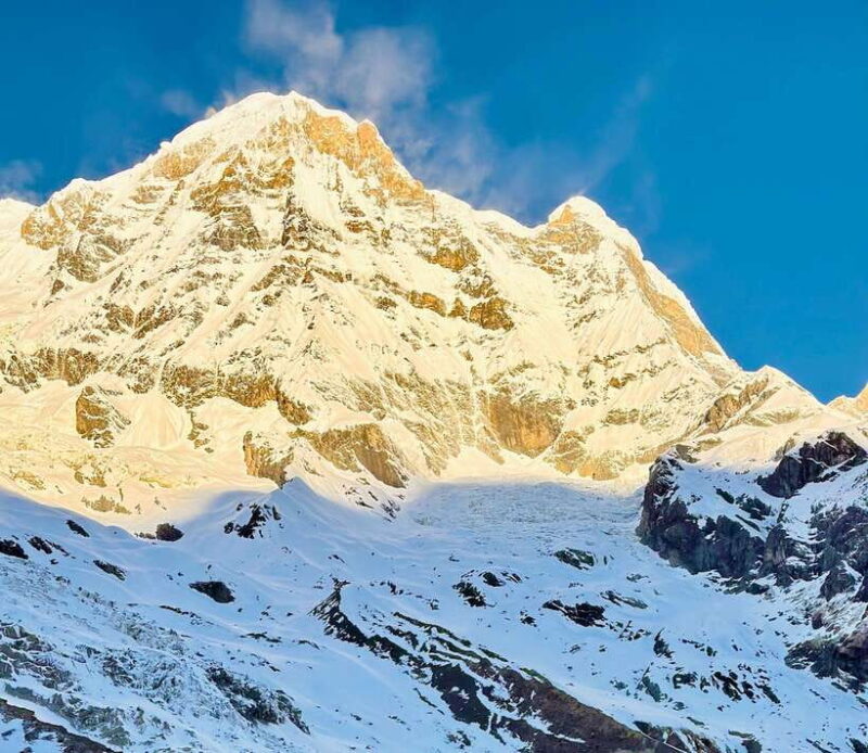 From Pokhara: 7-Day Annapurna Base Camp and Chitwan Tour - The Sum Up