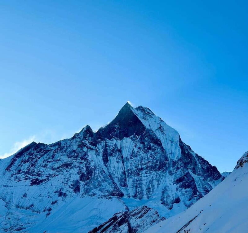 From Pokhara: 7-Day Annapurna Base Camp and Chitwan Tour - Frequently Asked Questions